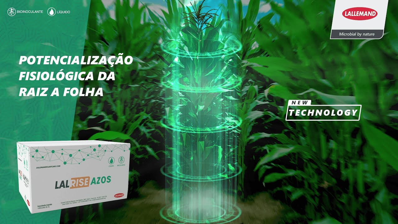 LALRISE AZOS - Inoculante a base de Azospirillum Cepa Az39 - YouTube