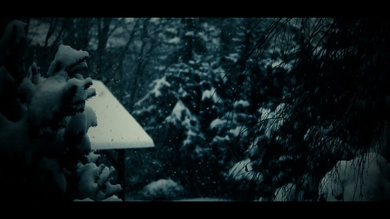 Falling Snow Sound Effect | Relaxing Winter Ambience - YouTube