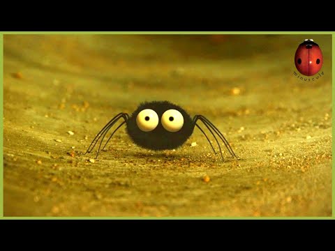 Labyrinth | Minuscule 🍃🕷️ 20' Compilation