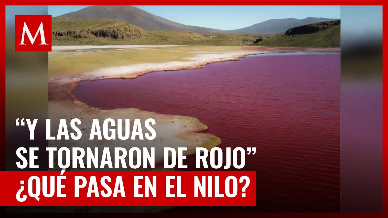 Río Nilo se pinta de rojo sangre y causa temor en redes por pasaje ...