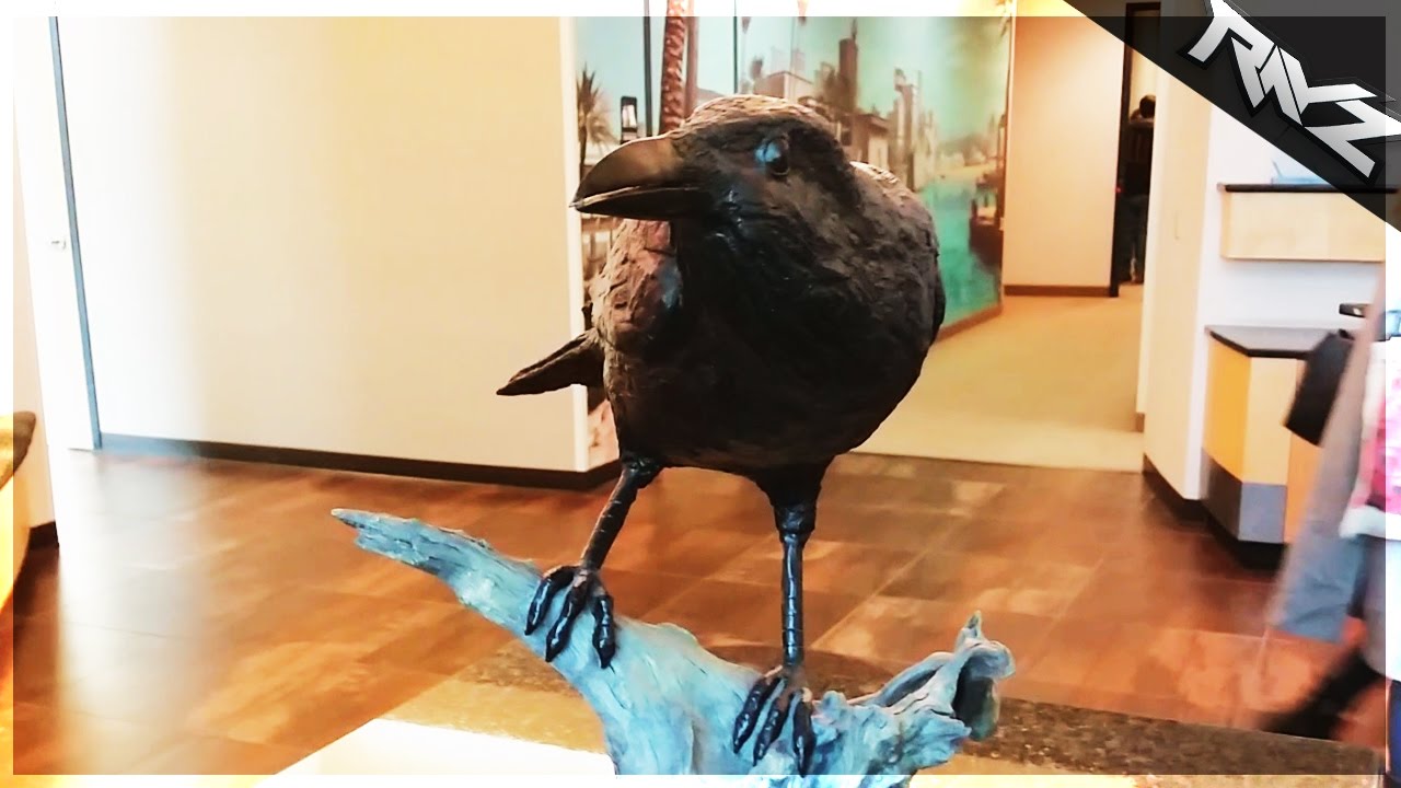 My Trip To Raven Software! Raven Software Studio Tour & Trip Vlog ...