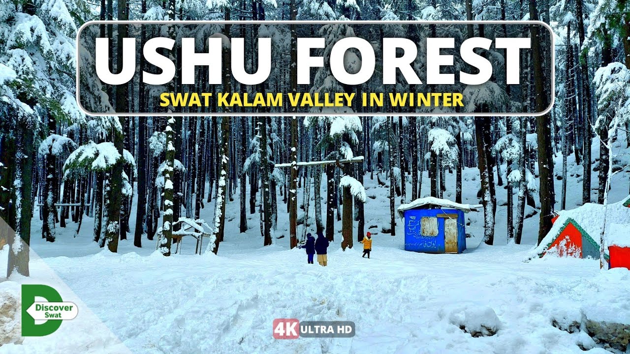 Snowfall In Swat Kalam Valley | Ushu Forest Amazing View In Winter ...