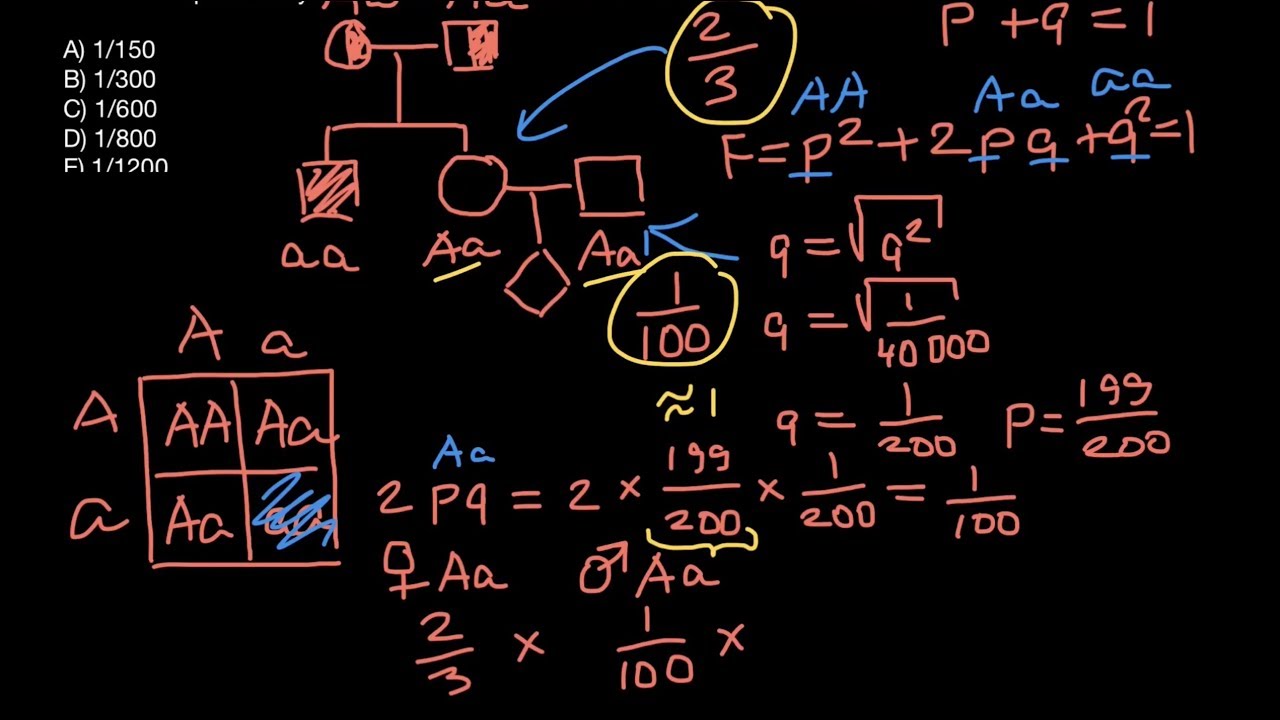 How To Solve Pedigree Probability Problems YouTube how-to-solve-pedigree-probability-problems-youtube