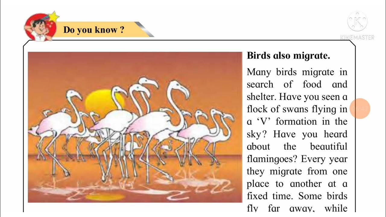 swatisclasses Standard 4 EVS 1 Lesson Number 18 Changes In The Family swatisclasses-standard-4-evs-1-lesson-number-18-changes-in-the-family