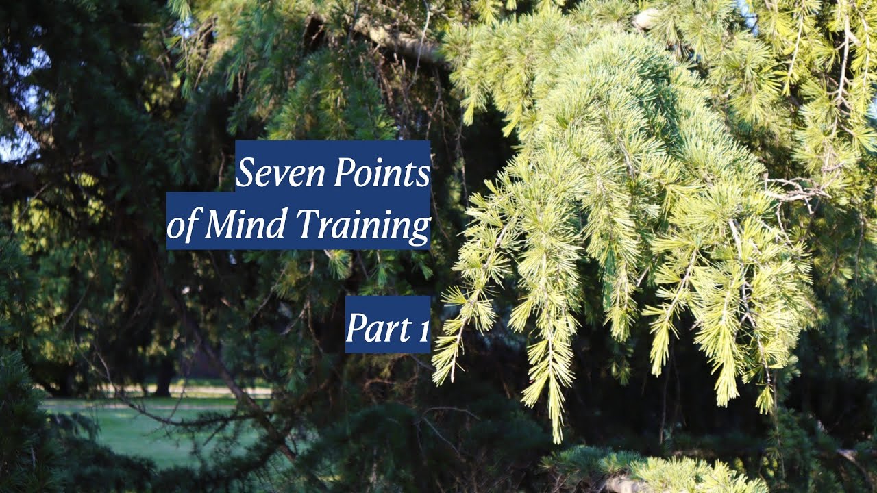 Seven Points of Mind Training – Part 1 - YouTube
