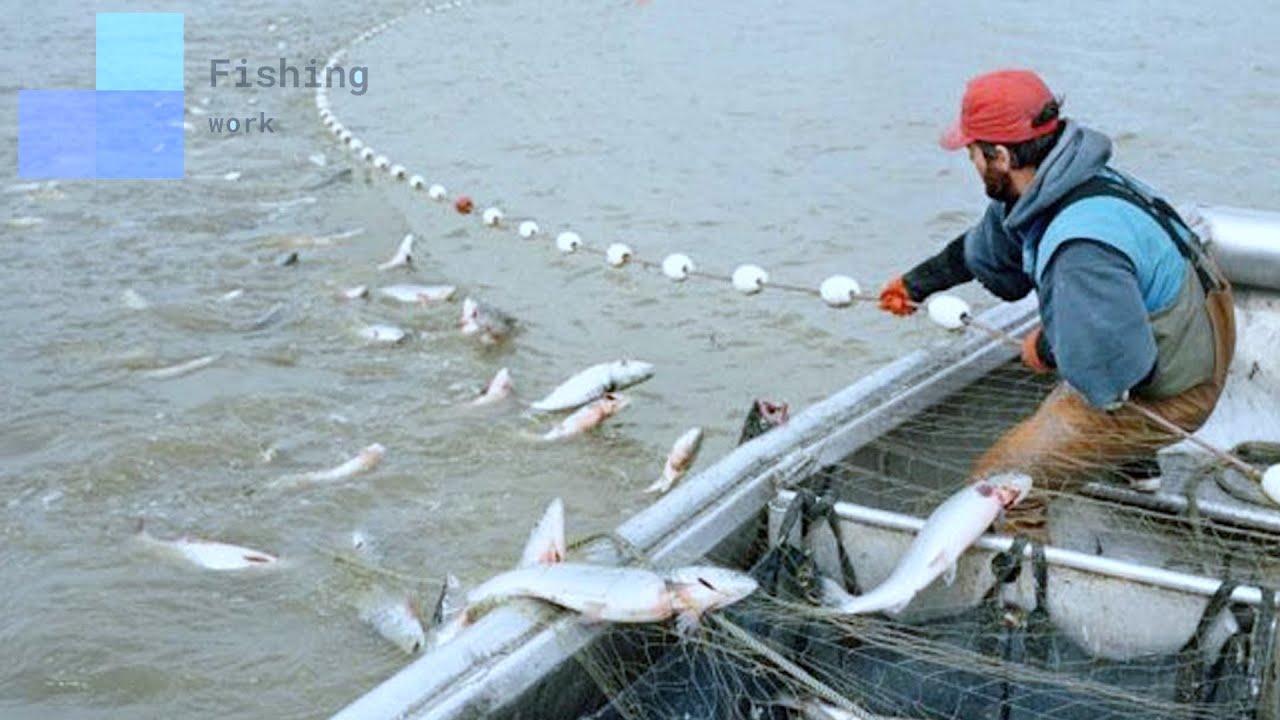 The fastest ways to fish at sea you've never seen || Unbelievable The ...