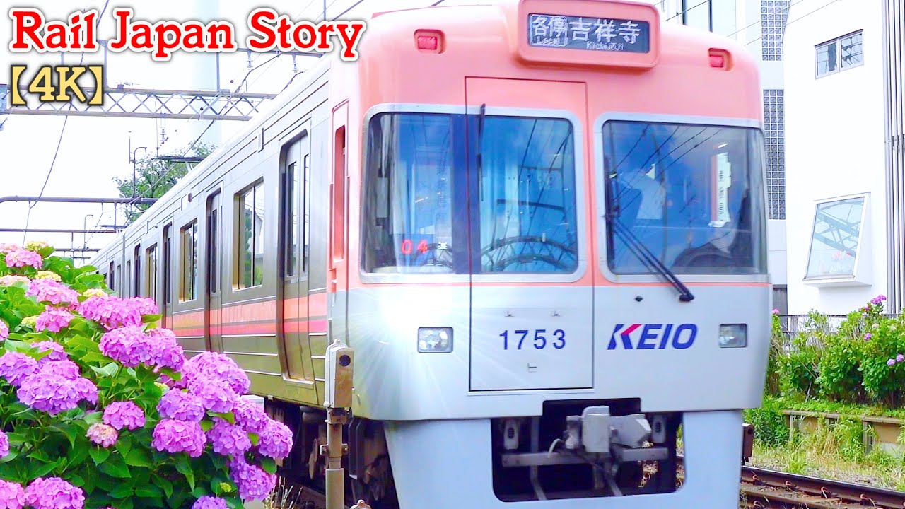 KEIO Inokashira Line Colorful Trains in hydrangeas, Hamadayama ...