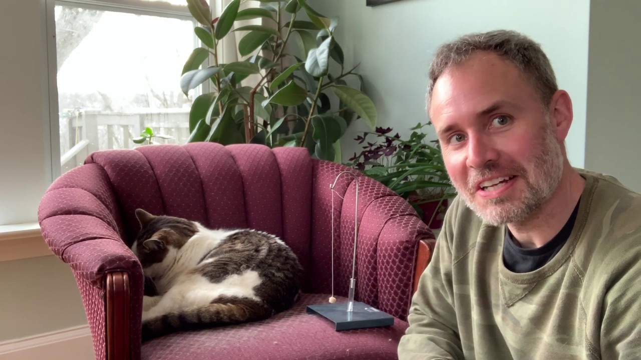 Introduction to Electrostatics and Charge (and a cat). High School ...