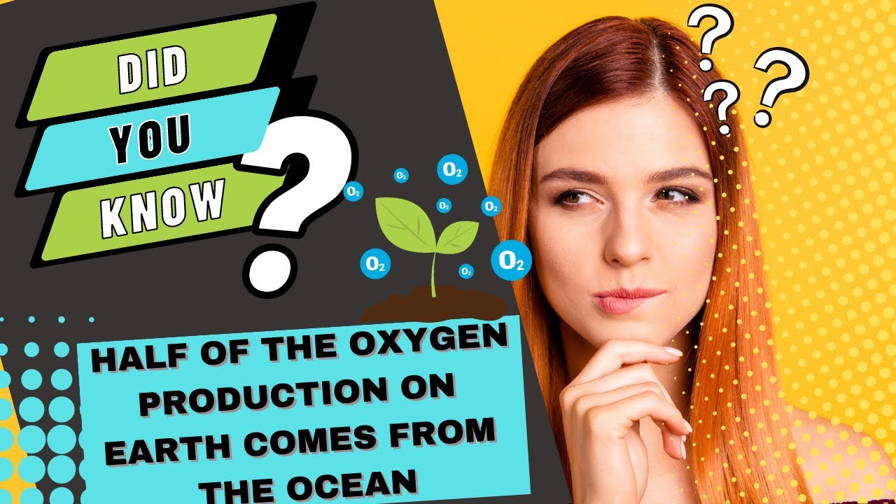 Did You Know? The Surprising Ways Oxygen is Produced in Nature - YouTube
