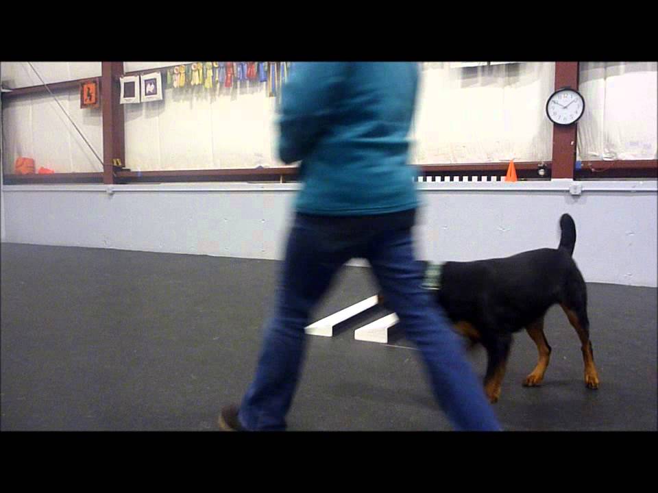 Shaping the broad jump - Fizz - YouTube