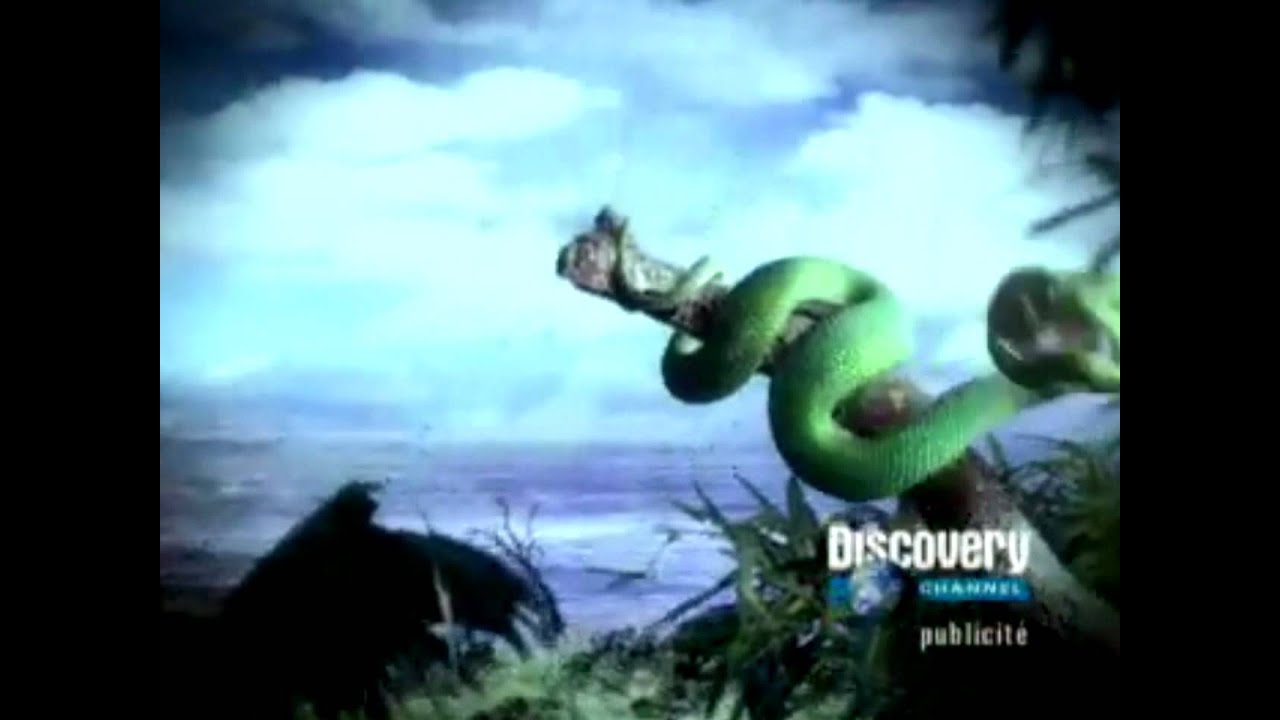 Jingle pub - Discovery Channel France - YouTube