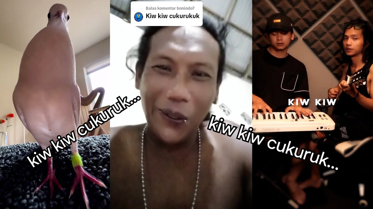 Kiw Kiw Cukurukuk Kukru...(Versi Original,Versi Burung,Versi Aesthetic ...