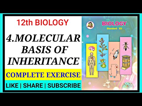 12th biology ch-4 molecular basis of inheritance complete exercise | Maharashtra board new syllabus