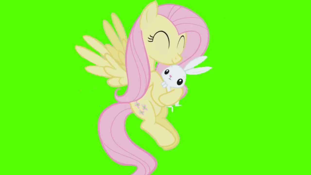 Fluttershy Hovers with Angel - Green Screen Ponies - YouTube