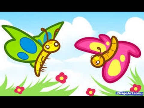 THE PRETTY BUTTERFLY SONG song for kids - YouTube