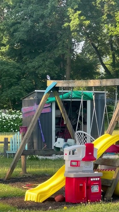 Finally caught him on camera 🎥 - YouTube