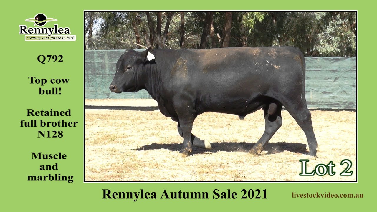Lot 23 Rennylea Autumn 2021 1 - YouTube
