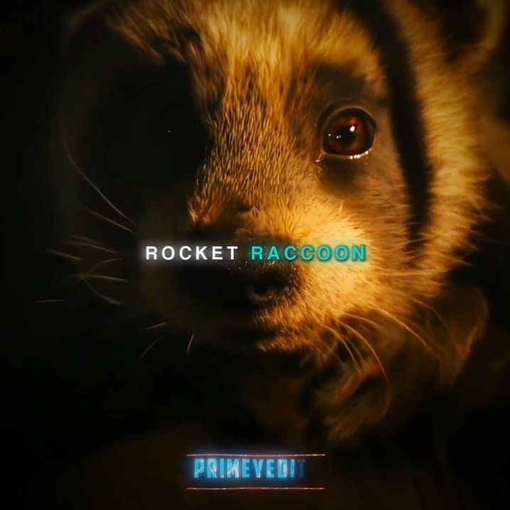 Rocket Raccoon | BAIXO | Rocket Edit - YouTube