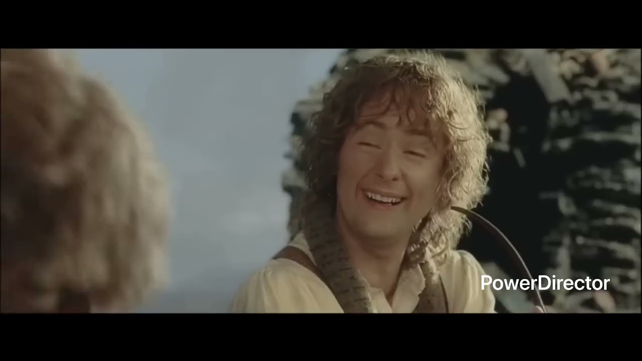 Lord of the ring return of the king meeting merry, pippin crossover ...