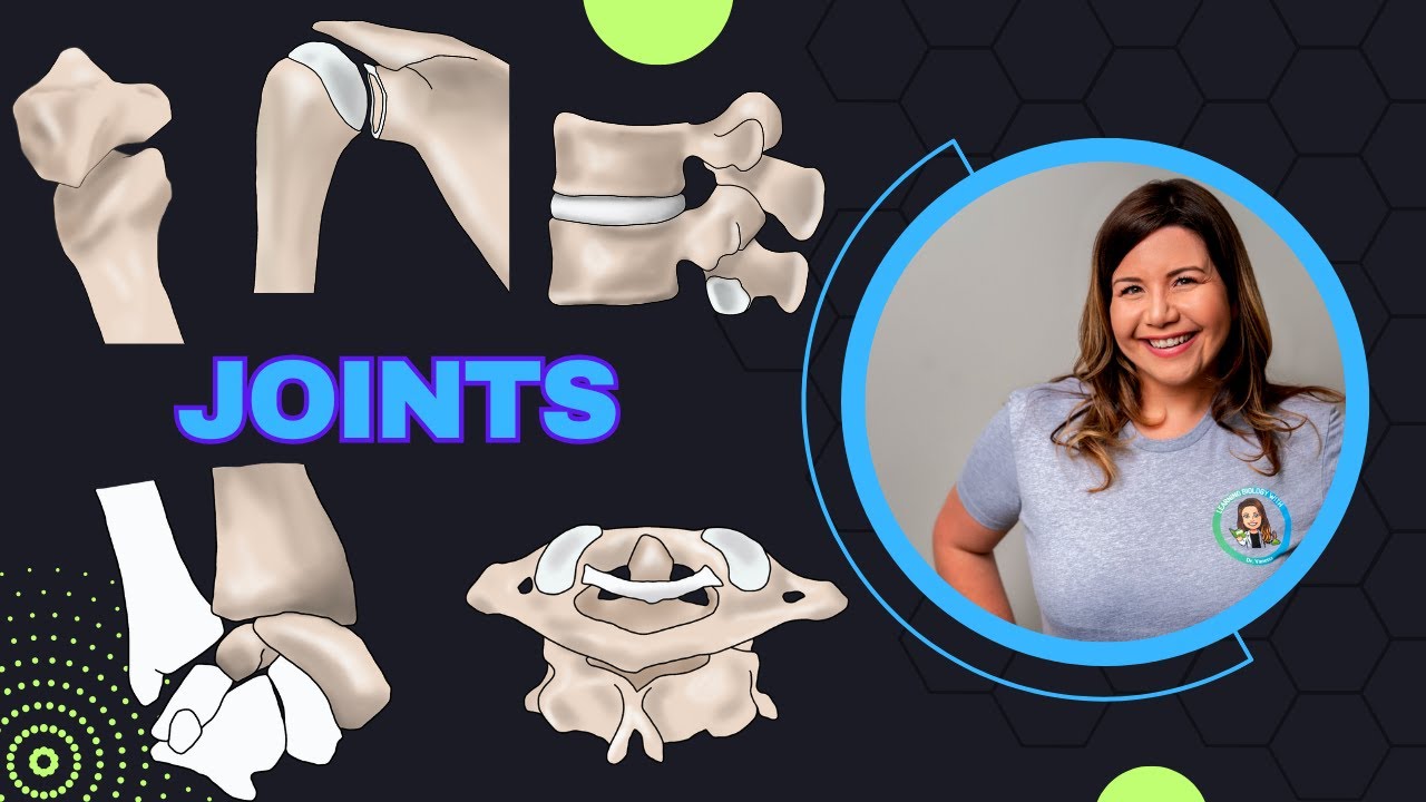 How Bones Move: Joints of the Body - YouTube