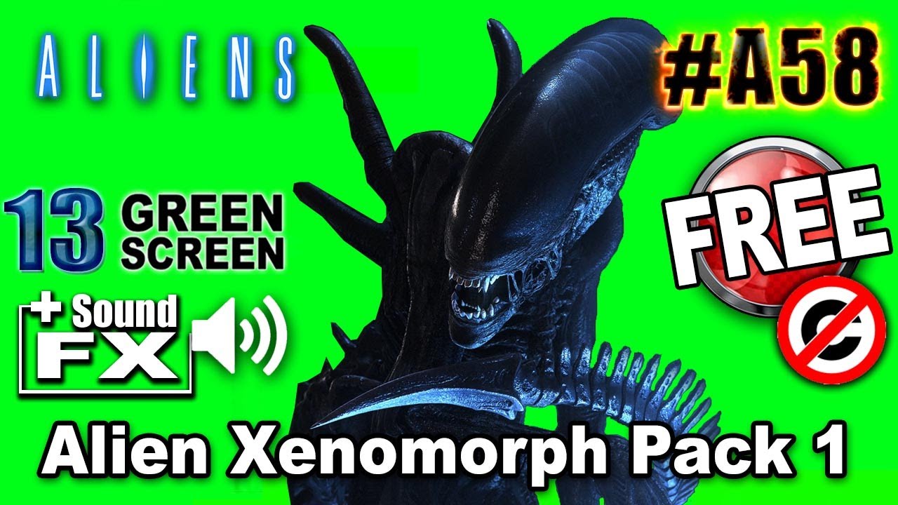 Alien Xenomorph Pack 1 Green Screen 3D - YouTube