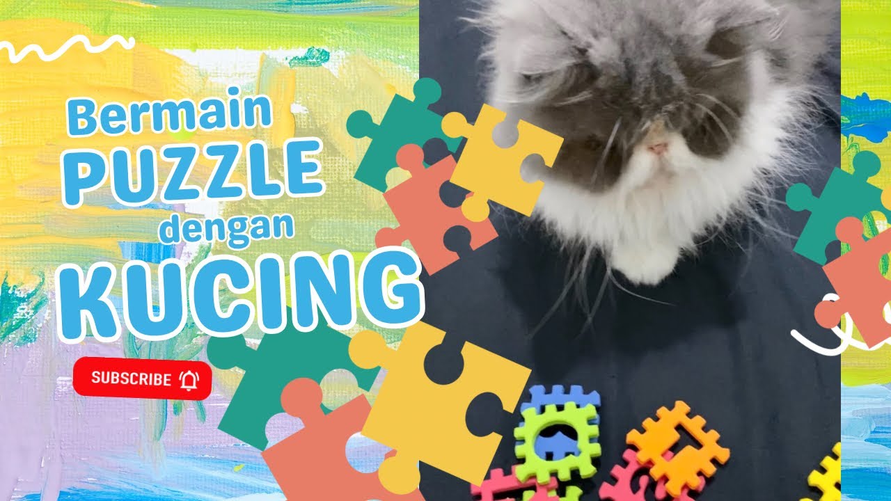 Bermain puzzle bersama kucing - YouTube
