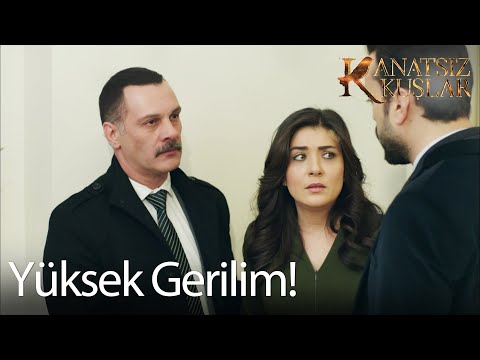 İki adam bir kadın! - Kanatsız Kuşlar🕊🕊