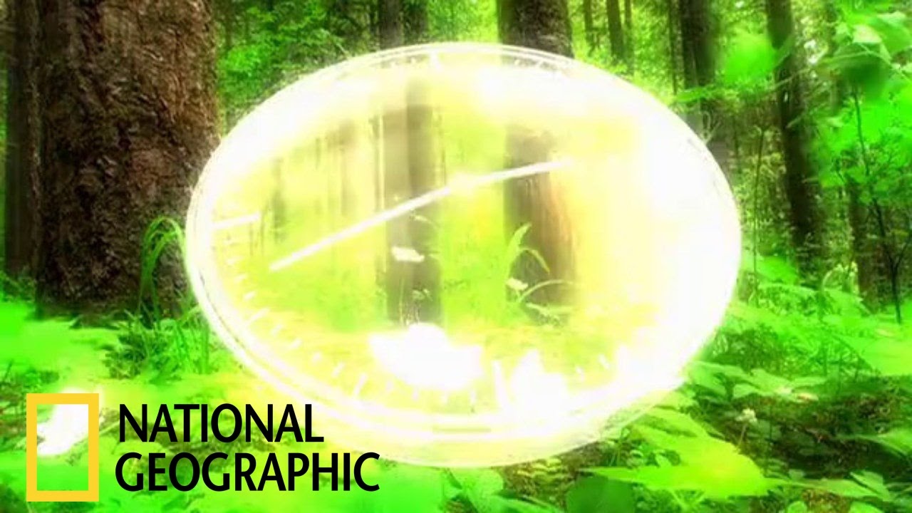 The Universe S02E18 - COSMIC APOCALYPSE - BluRay 1080p - YouTube