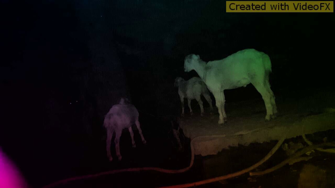 123456689 - YouTube