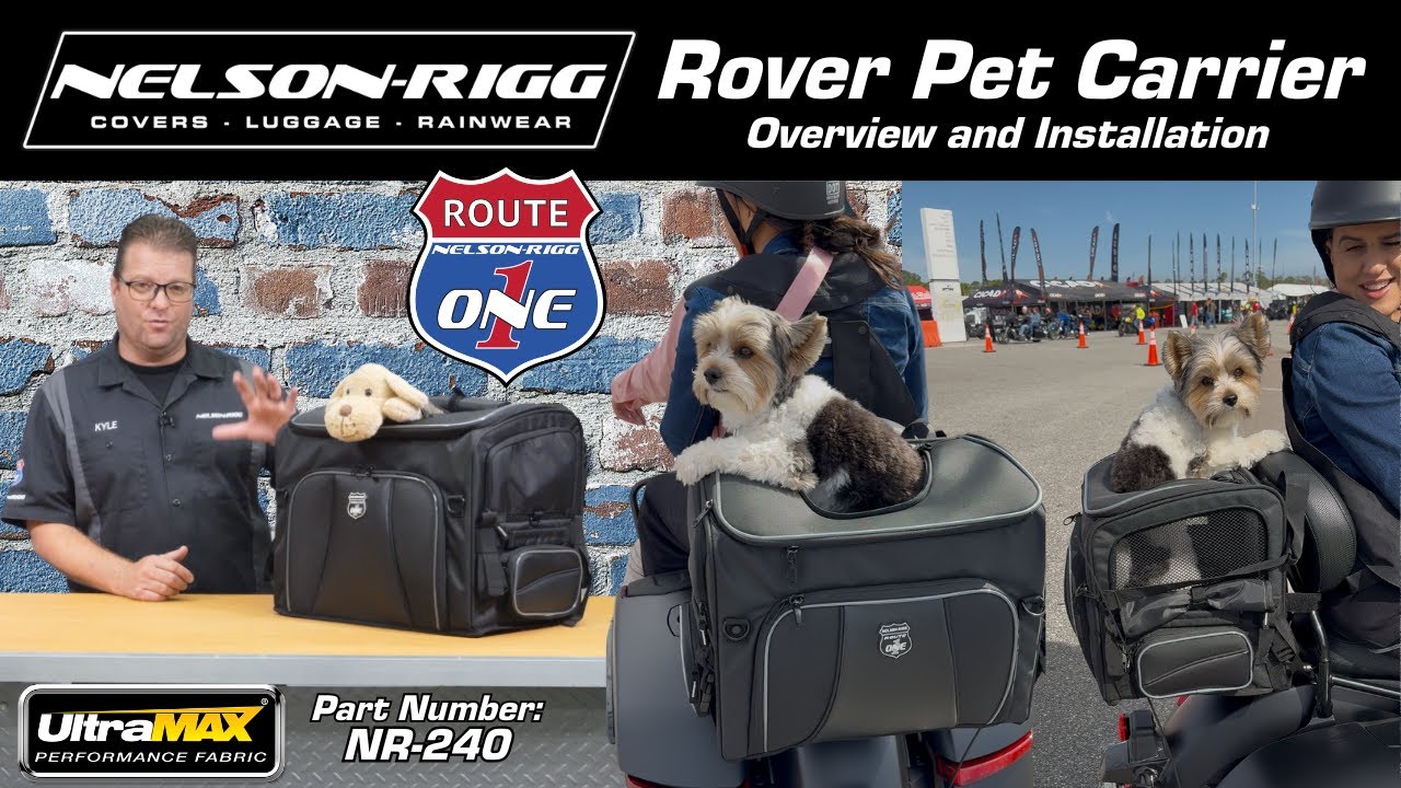 Route 1 Rover Pet Carrier Overview and Installation from @Nelsonriggusa ...