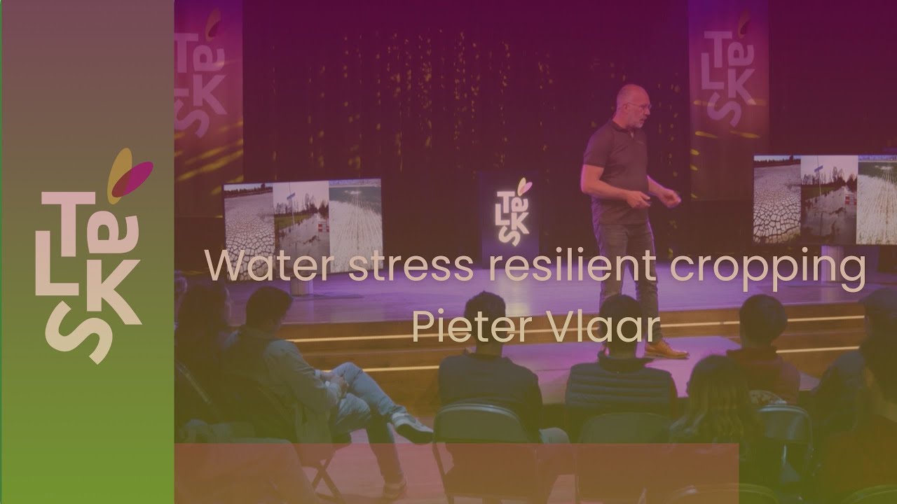 Pieter Vlaar about water stress resilient cropping - YouTube