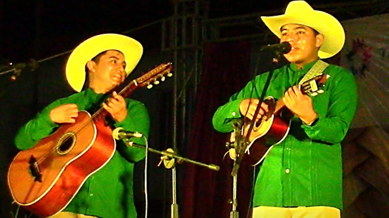 TRÍO TEMPLE HUASTECO/EL CABALLITO/ HUAPANGO/TANCOCO VER. - YouTube Music