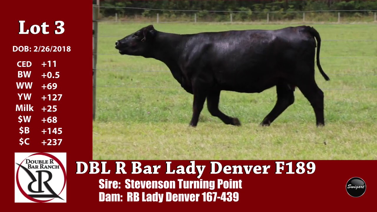 Double R Bar Lot 3 - YouTube