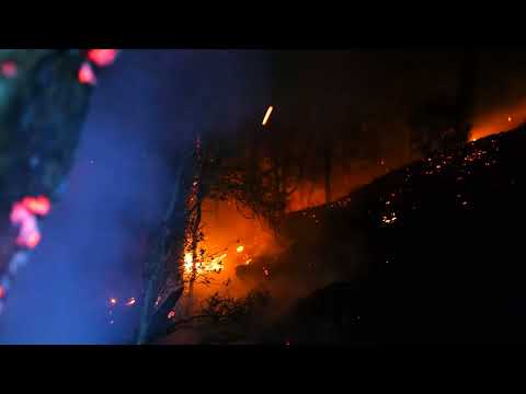 Orman Genel Müdürlüğü 100.Yıl Tanıtım Filmi