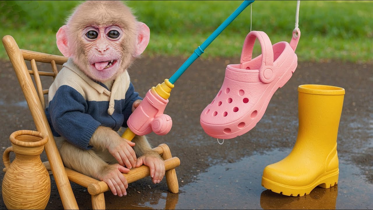 A Day of Fishing with Obi monkey | ANIMALS LIFE - YouTube