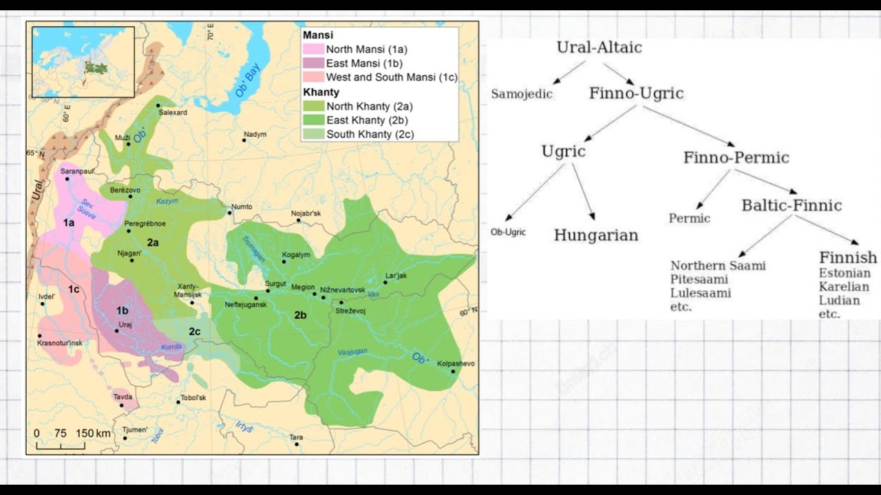 Genetics of Mansi people - Ugric Siberians - YouTube