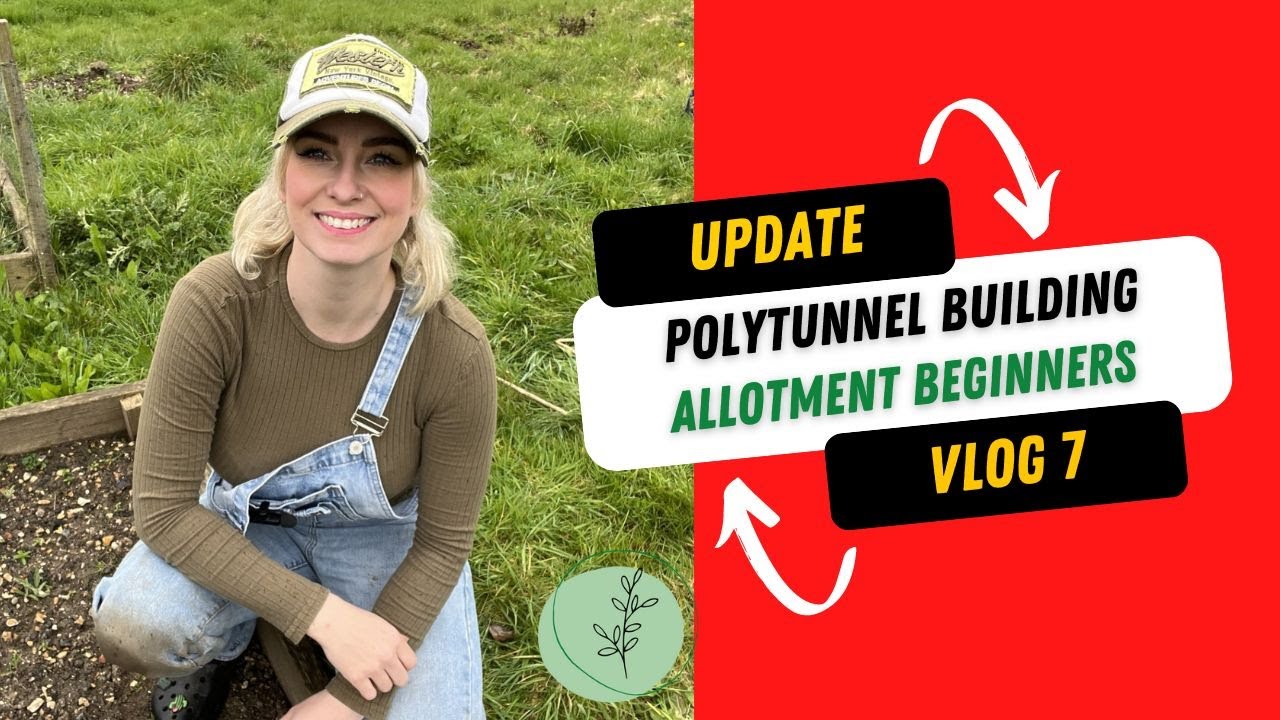 MASSIVE Polytunnel Allotment Build Update! - YouTube