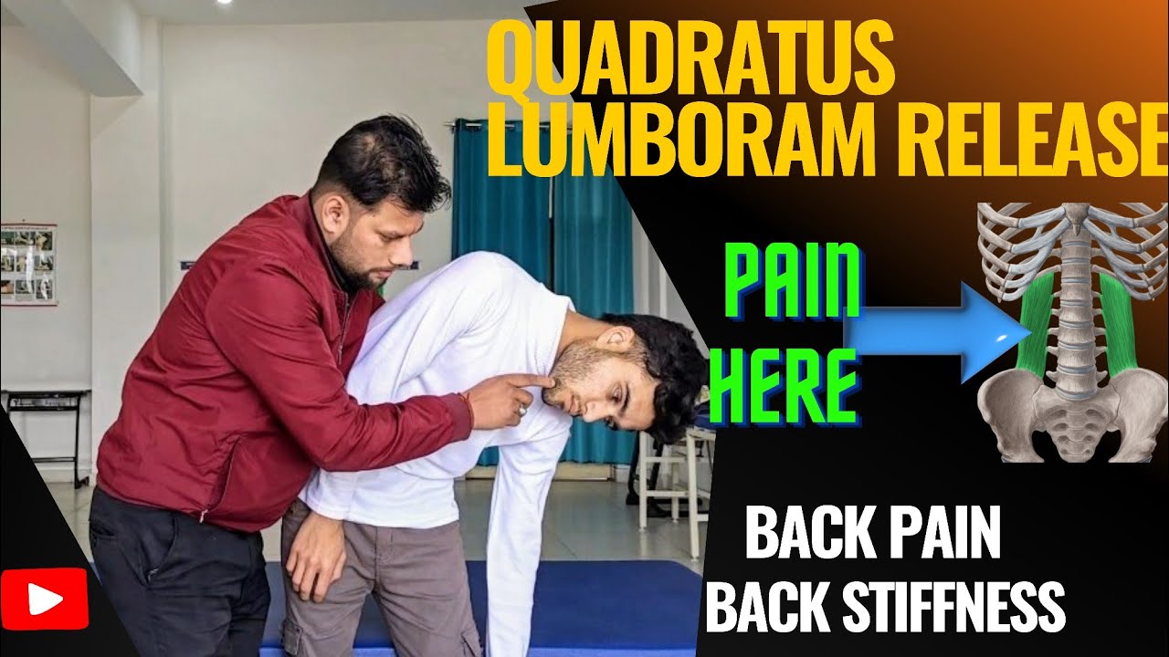 Quadratus lumboram Release - Lower Back pain Treatment. - YouTube