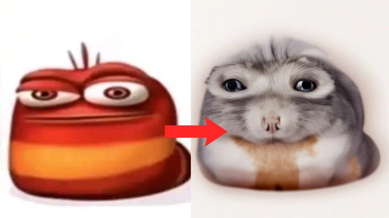 oi oi oi Red Larva becoming a Sad Hamster - YouTube