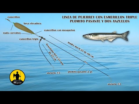 MIRA COMO PESCA ESTA LÍNEA DE PEJERREY ADEMÁS ECONÓMICA Y MUY FÁCIL DE ...