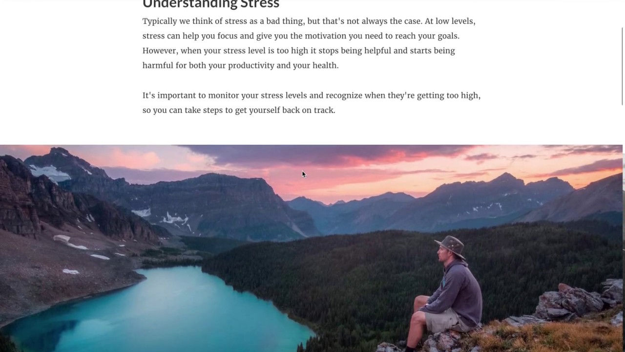 Rise 360 Feature Overview: Knowledge Checks - YouTube