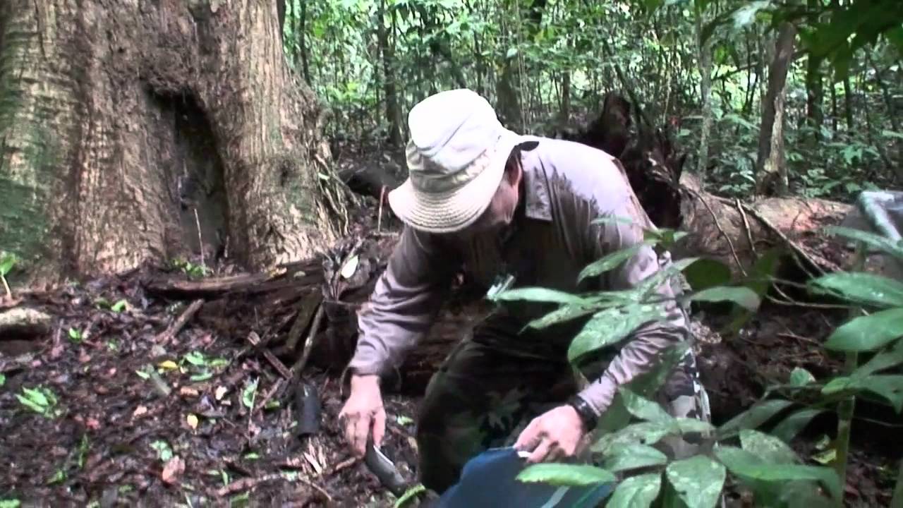 Mark recapture - YouTube