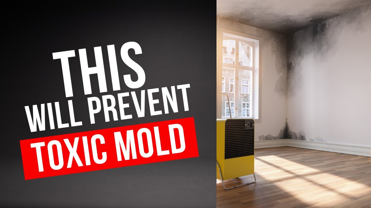 5 Ways to Prevent Toxic Mold - YouTube
