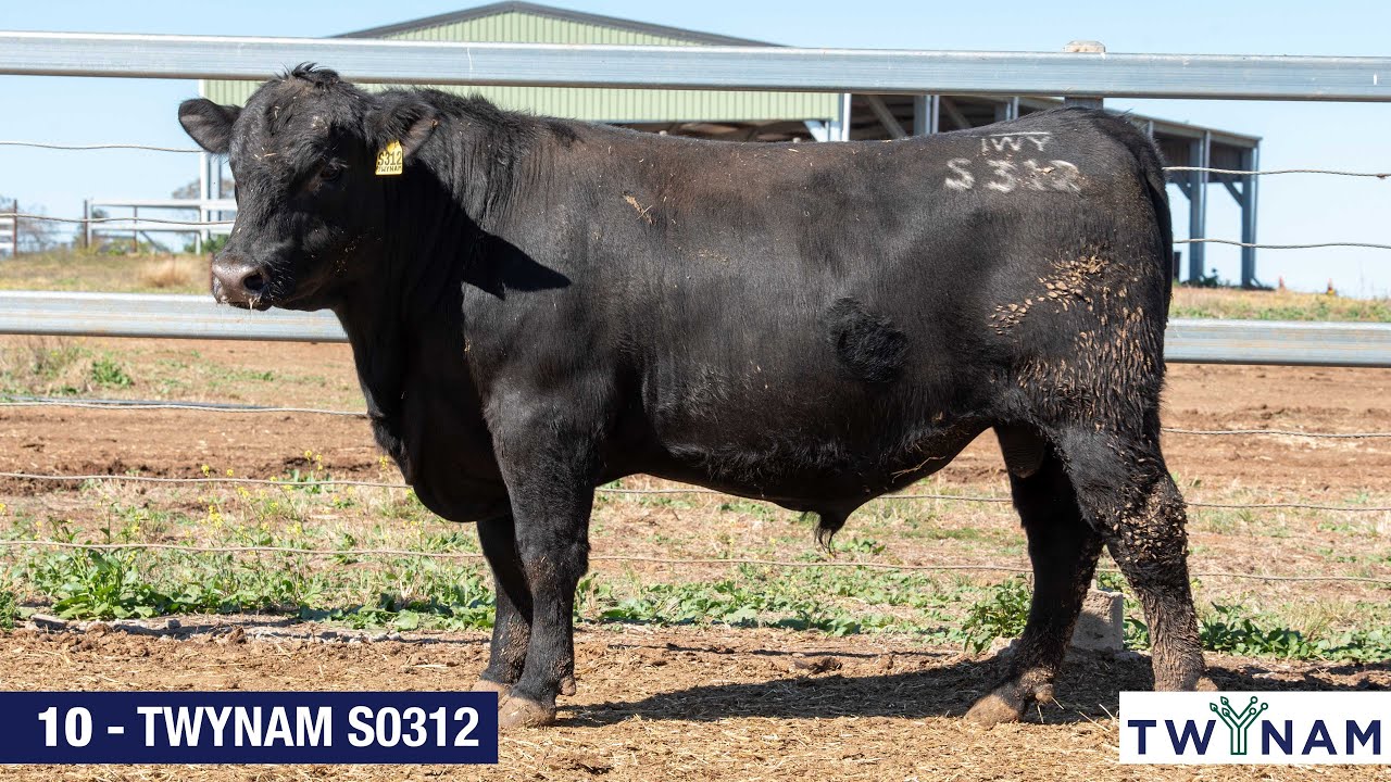 LOT 10 - TWYNAM S0312 - YouTube