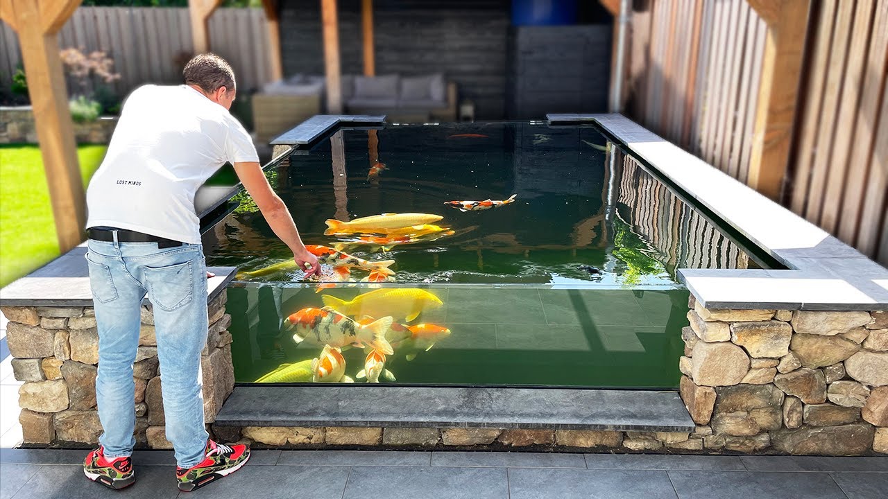 Amazing Fish Pond with 3 Big Windows! - YouTube
