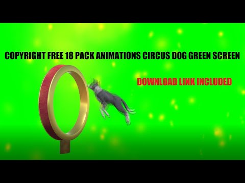 18 Free Green Screen Jumping ShowDog Animations plus Download