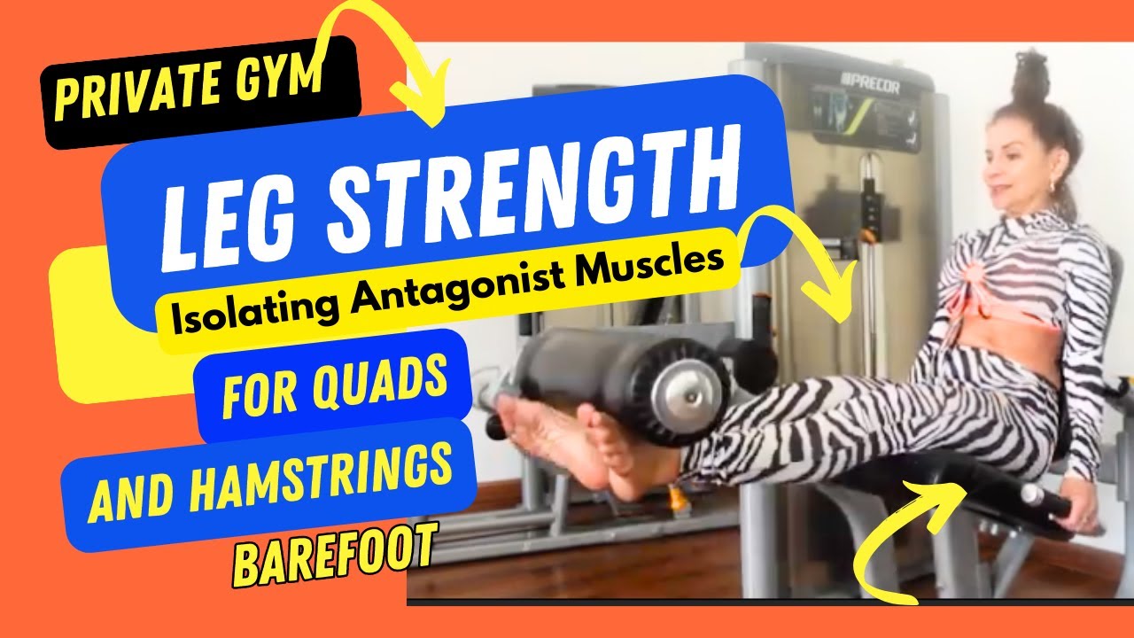 Quadriceps Leg Extension & Hamstrings Leg Flexion on Machines Private ...
