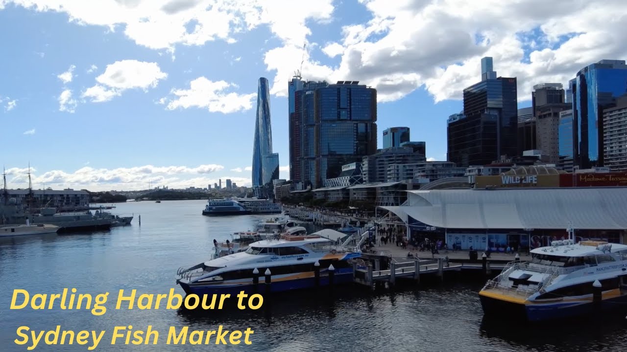 Life in Darling Harbour and Sydney Fish Market. Sydney Australia ...