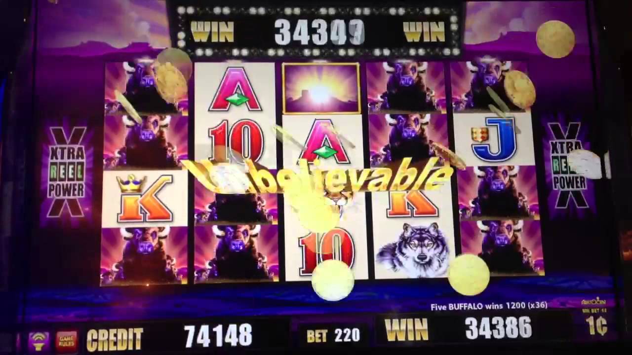 BUFFALO slot machine 5 Buffalo Win. - YouTube