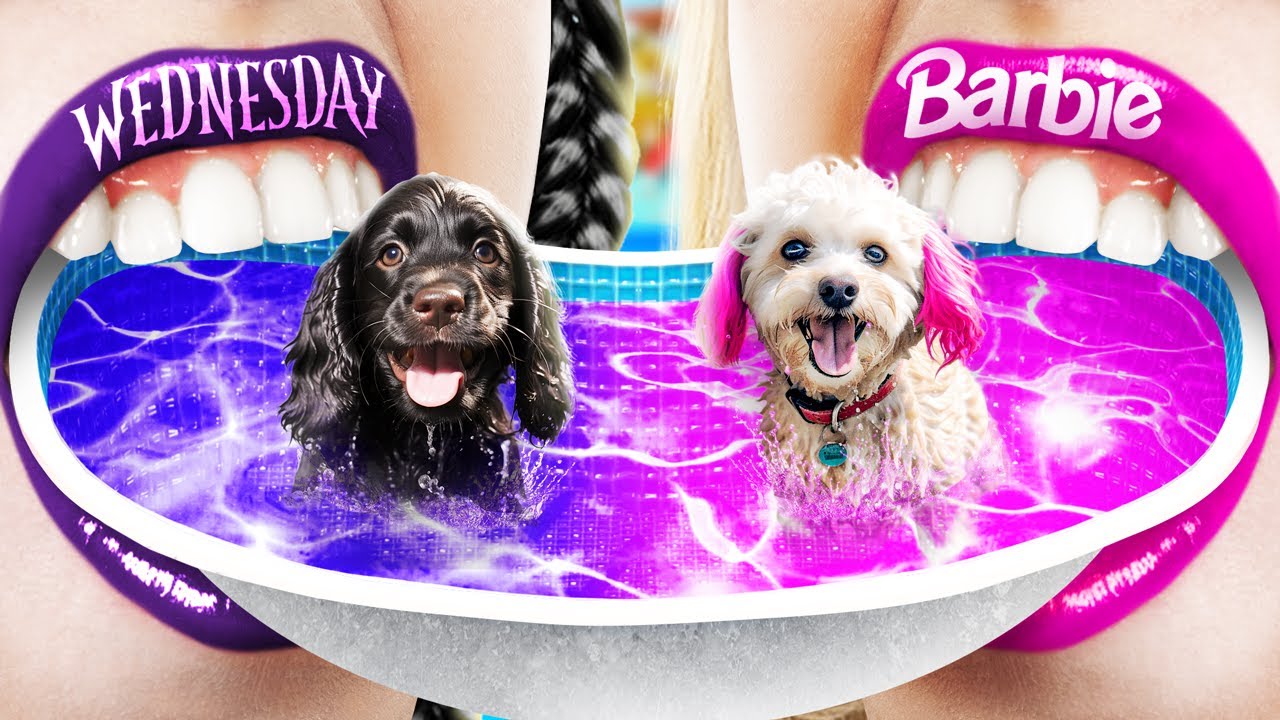 Barbie vs Wednesday Addams! We Build a Tiny Water Park for Pets at Home ...